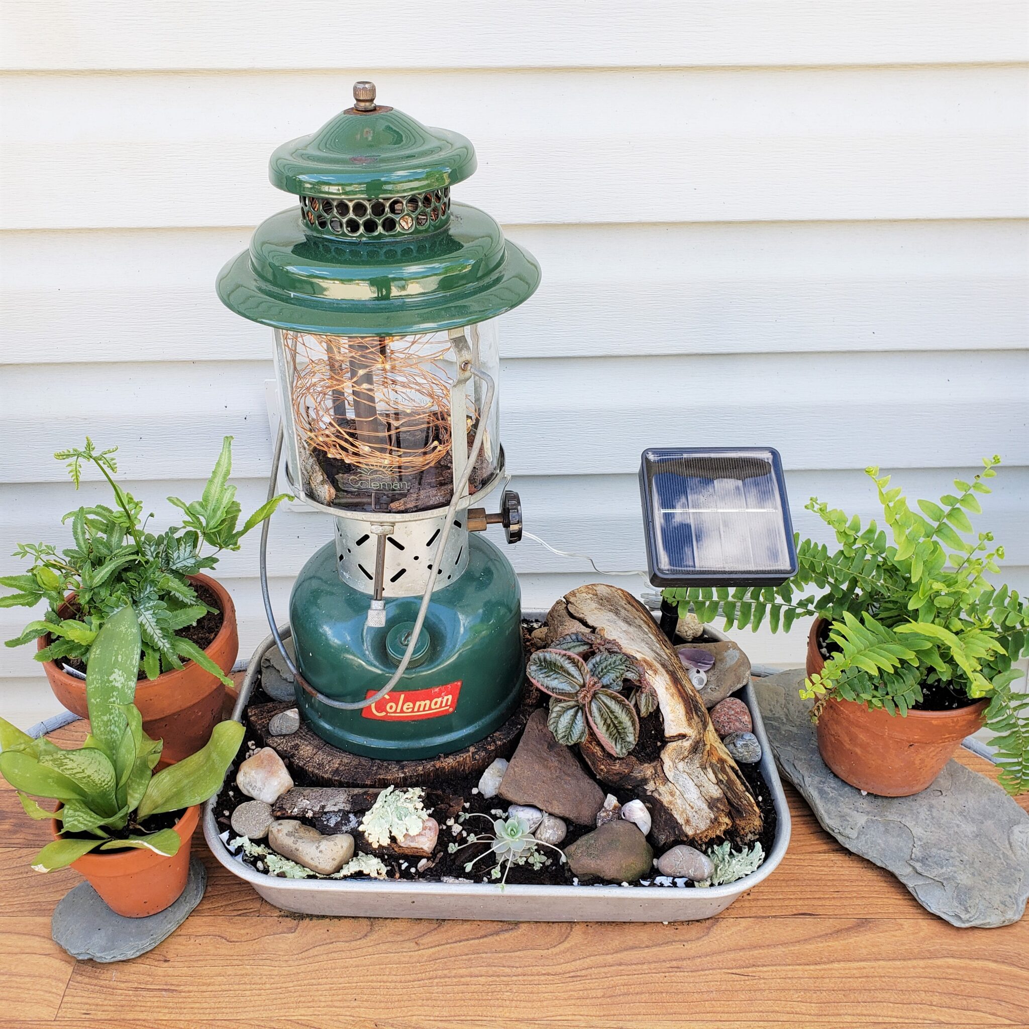 How To Make a Camp Lantern Terrarium Planter